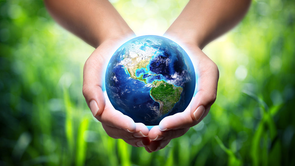 Environmental Protection - What Is It and How To Protect It? – EQUO