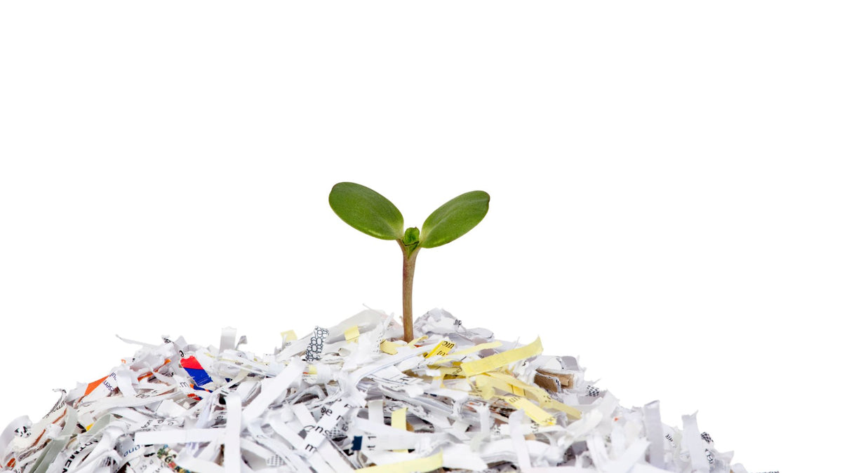 A Beginner’s Guide to Plantable Seed Paper: A Sustainable Solution for ...