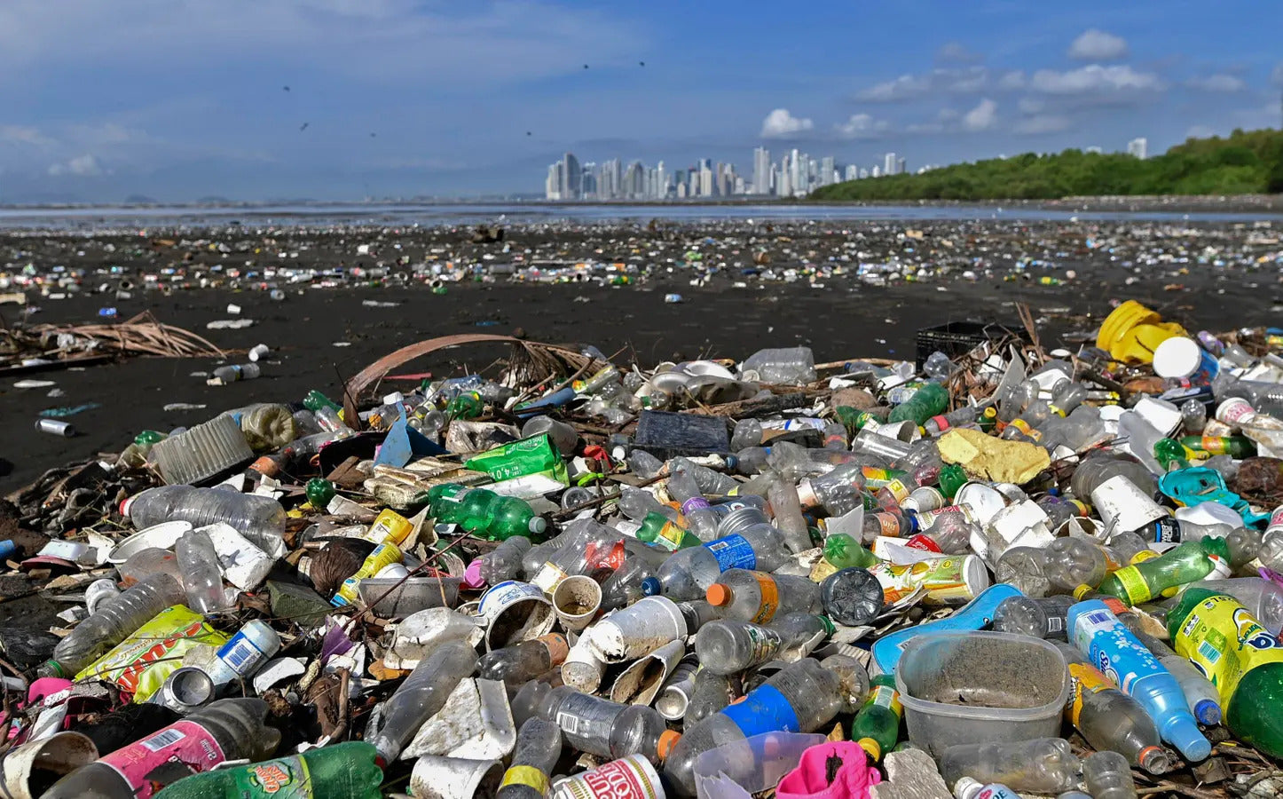 The Plastic Pollution Crisis: Facts & Figures You Need to Know in 2025 ...