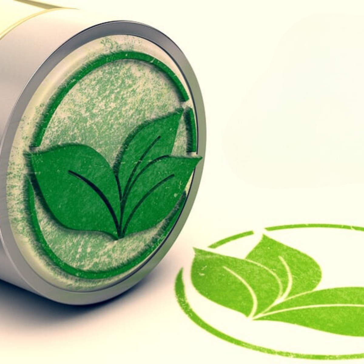 8 Sustainability Certifications For Green Businesses – EQUO