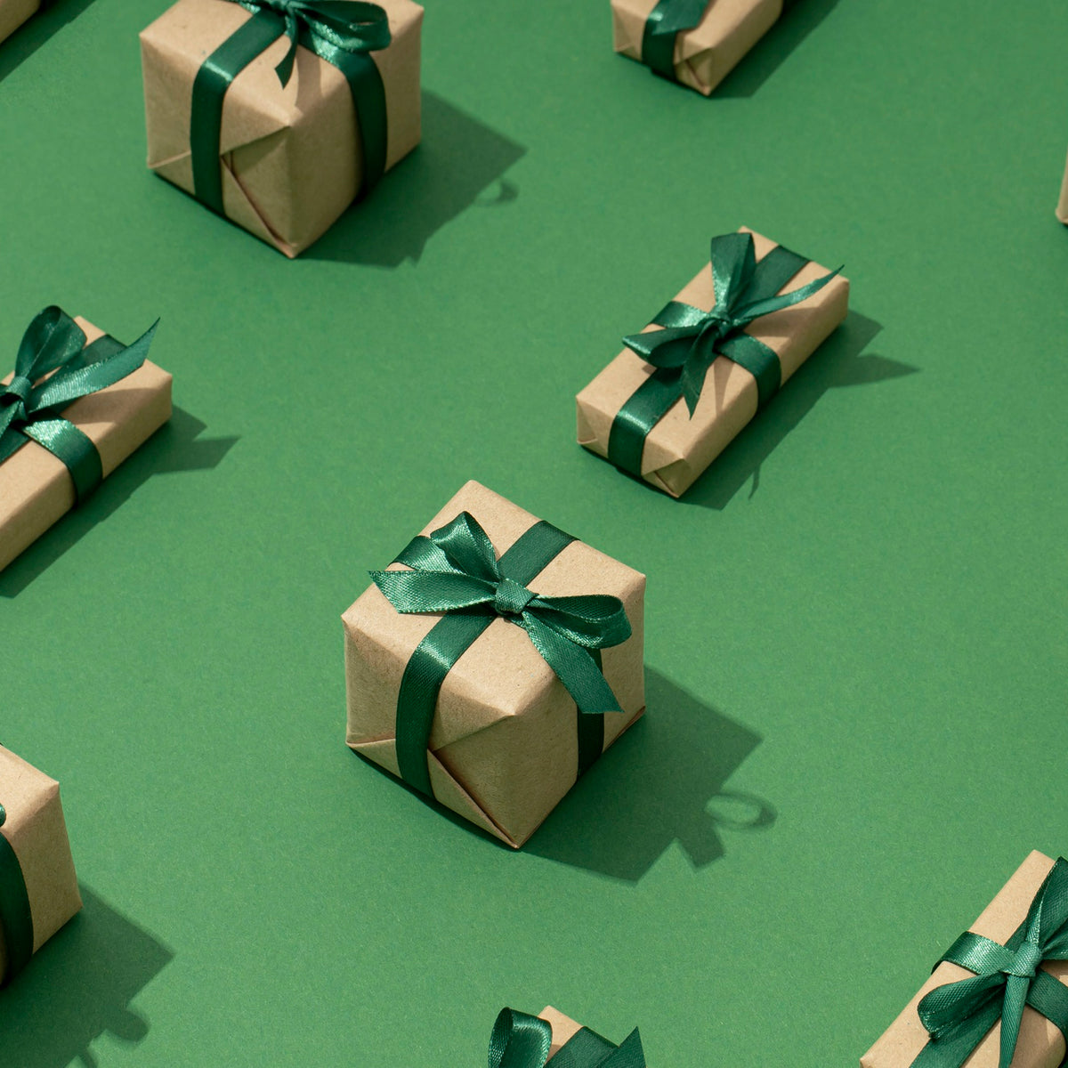 10+ Environmentally Friendly Gifts For Green Lifestyle Lovers – EQUO