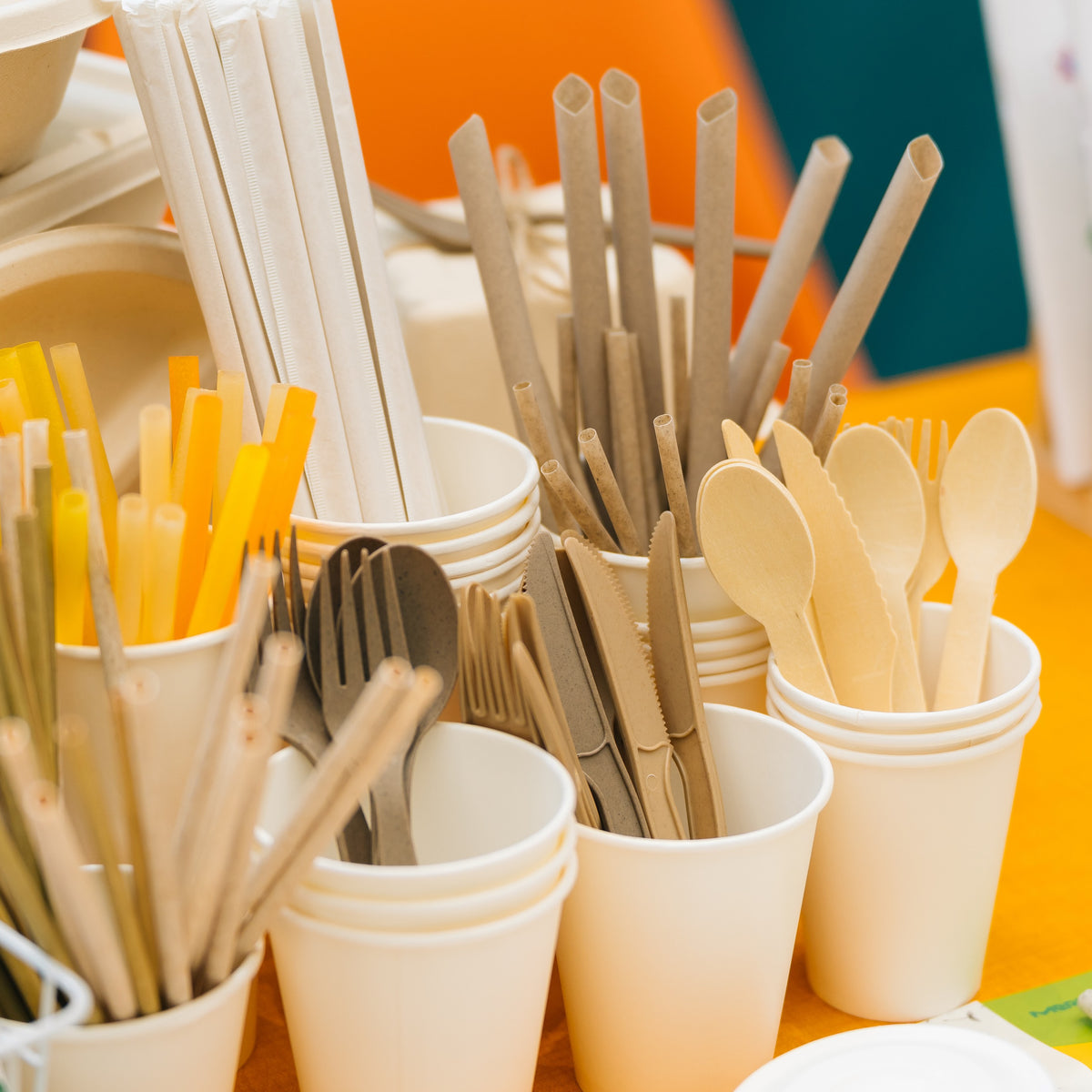 Eco-Friendly Disposable Tableware for Large Events: What You Need to K ...