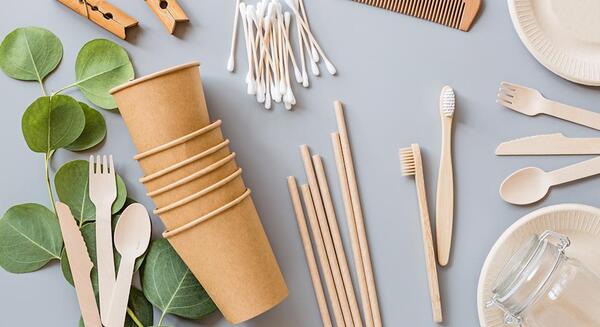 What Are Biodegradable Straws Made Of? | EQUO